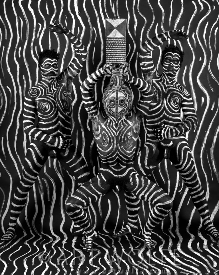 Human Canvas Collector’s Edition